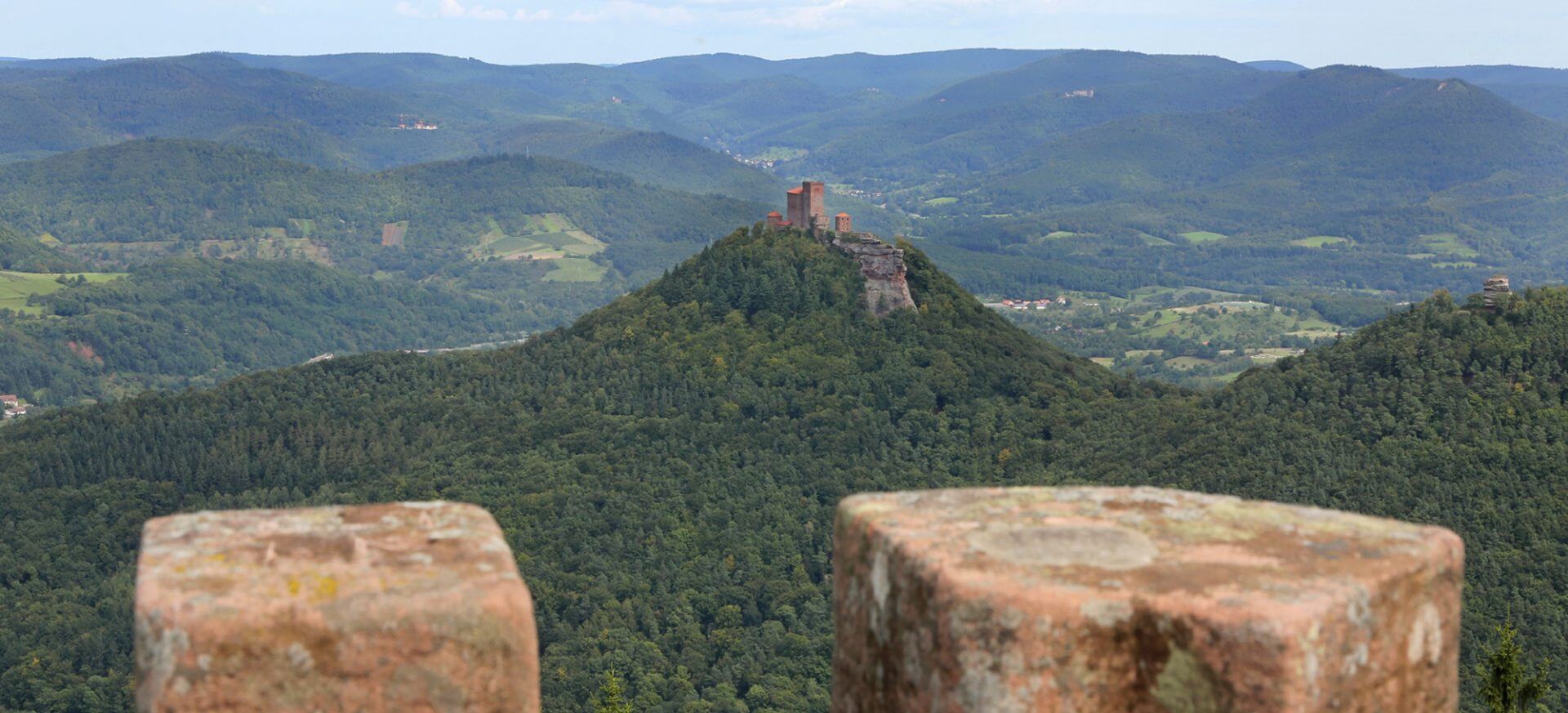 Pfälzerwald: Den Frühling im größten Waldgebiet Deutschlands erleben ...
