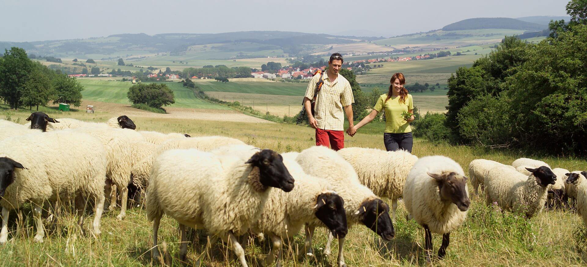 Die Hohe Rhön: Vom Vulkanismus geprägt | Kompass